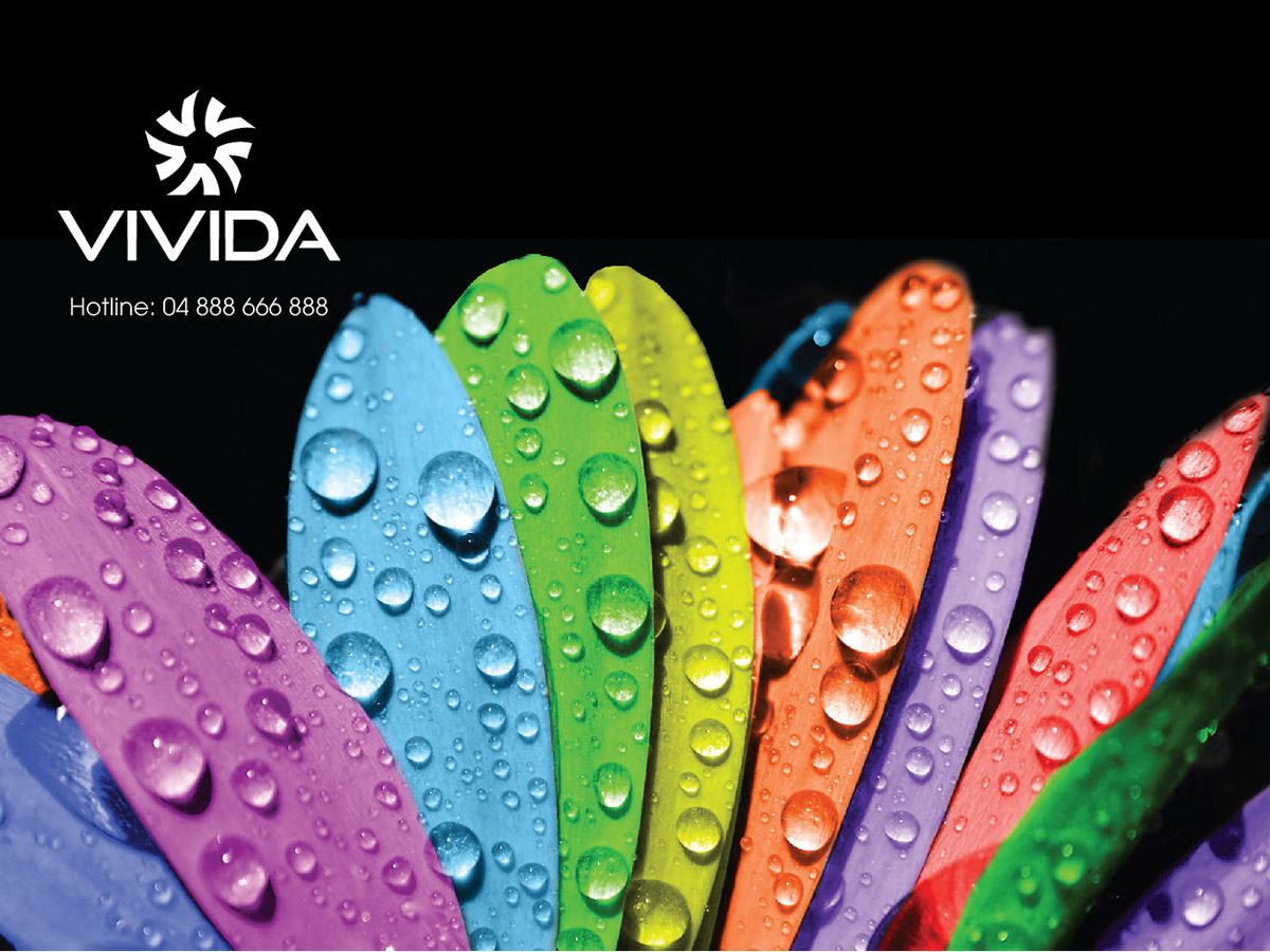 VIVIDA - Sáng tạo tên thương hiệu và thiết kế nhận diện sơn VIVIDA