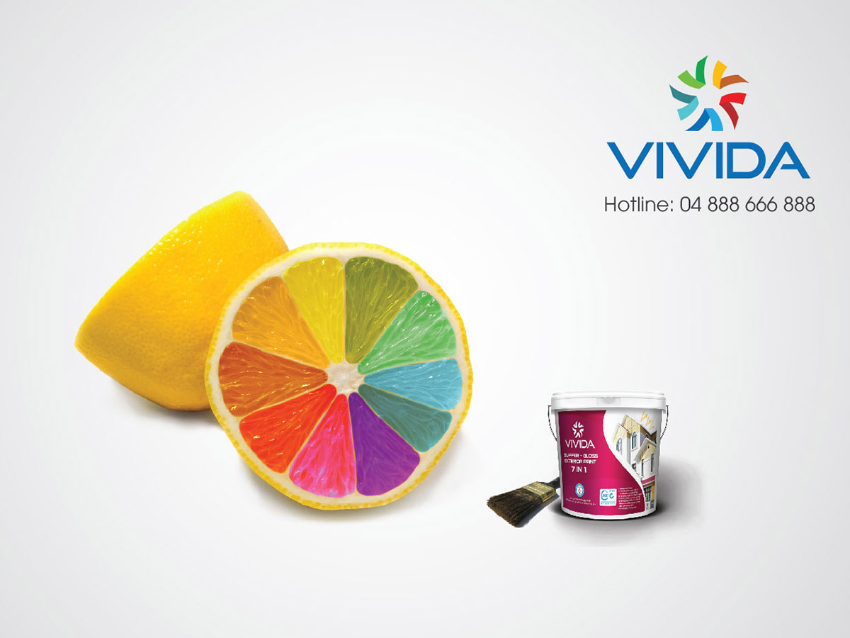 VIVIDA - Sáng tạo tên thương hiệu và thiết kế nhận diện sơn VIVIDA