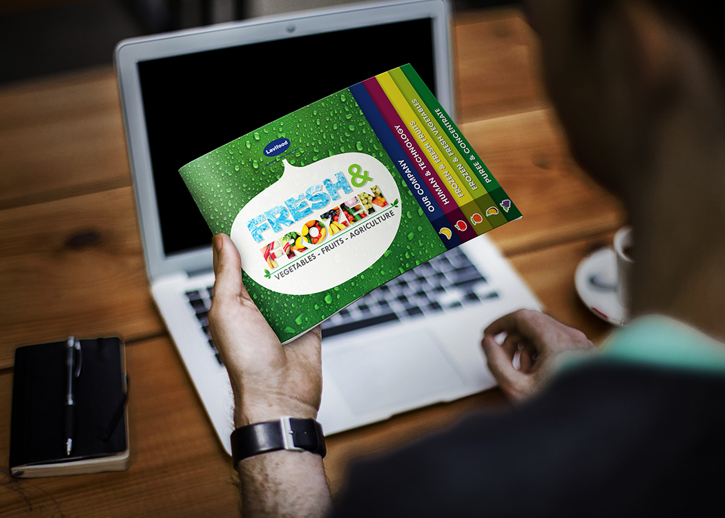 LAVIFOOD - Thiết kế brochure và ấn phẩm quảng cáo công ty thực phẩm ...